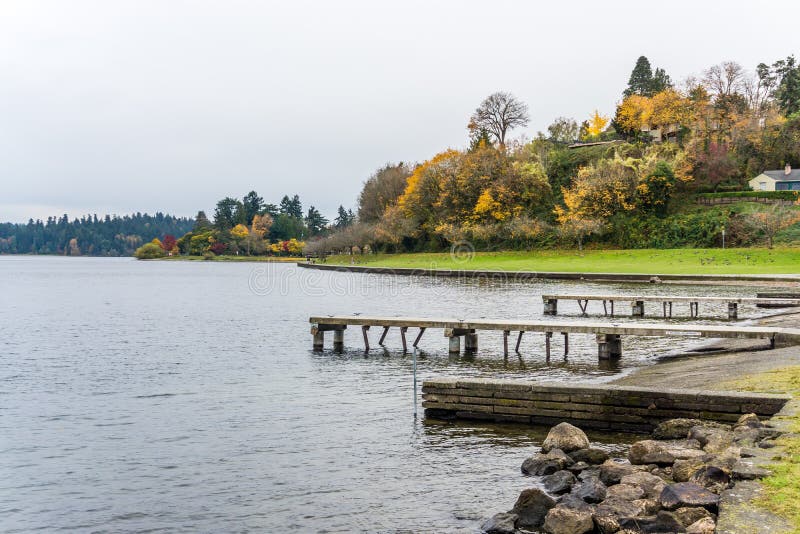 Lakeside Autumn Trees 2 stock photo. Image of colorful - 205364174