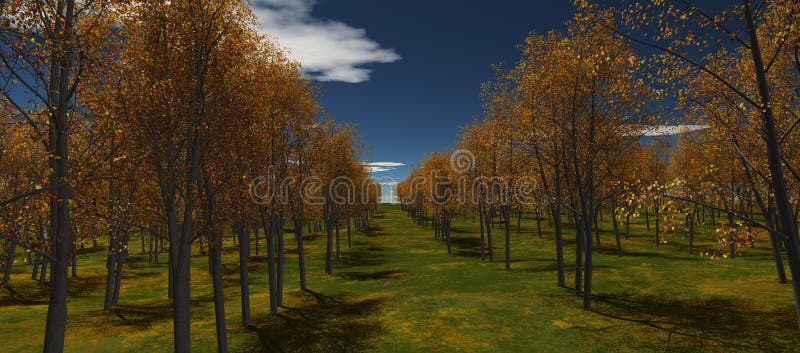 View of Autumn Trees Lined Up in a Row Stock Illustration ...