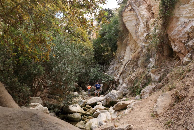 View on Avakas Gorge with Steep Rocks and River on Bottom. Akamas ...