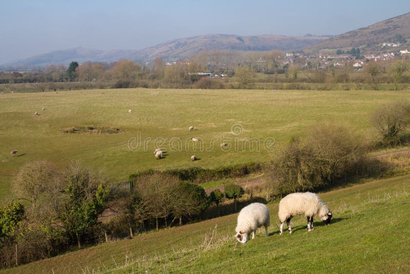 Cheddar Axbridge Reservoir Somerset England Stock Image - Image of ...
