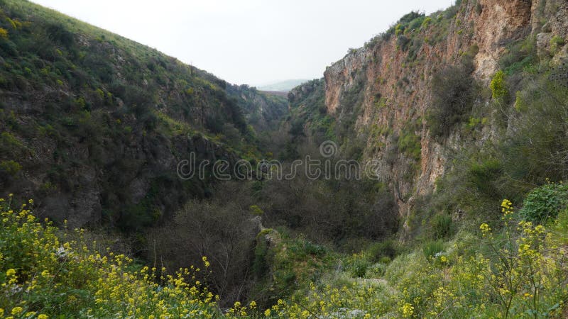 View of Ayun River Nature Reserve in Northern Israel Stock Photo ...