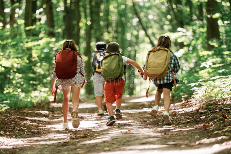 View from the Back. Kids in Forest at Summer Daytime Together Stock ...