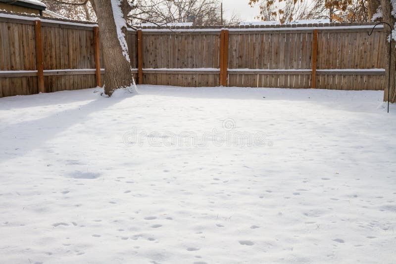 Backyard of snow stock photo. Image of scenic, house - 96174702