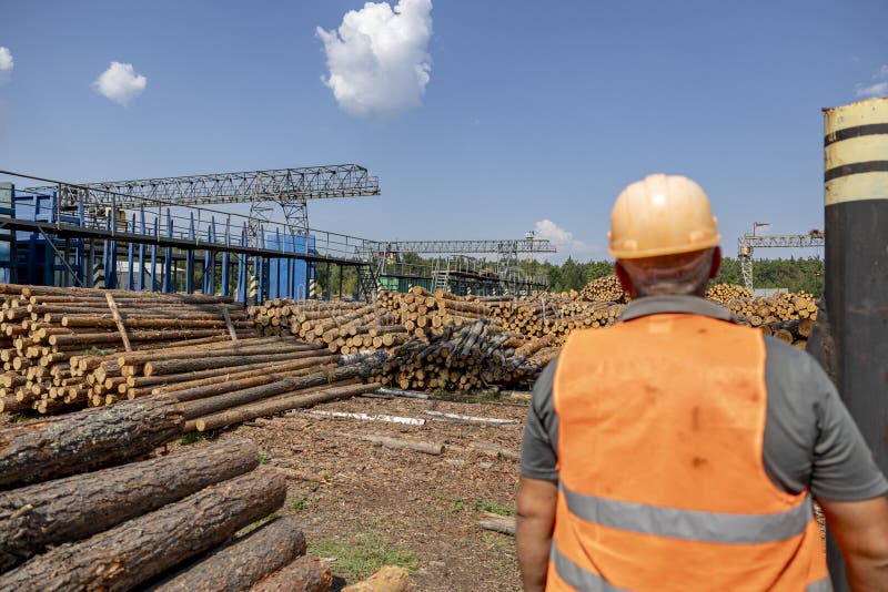 View of the Backs of Workers Engaged in Processing, Loading and ...