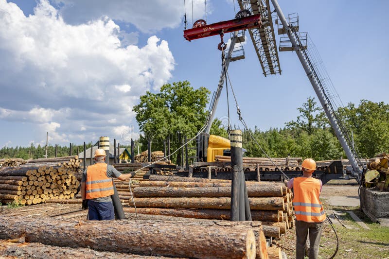 View of the Backs of Workers Engaged in Processing, Loading and ...