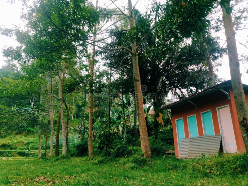 Village View and Many Trees in Backyard Stock Image - Image of tropical ...