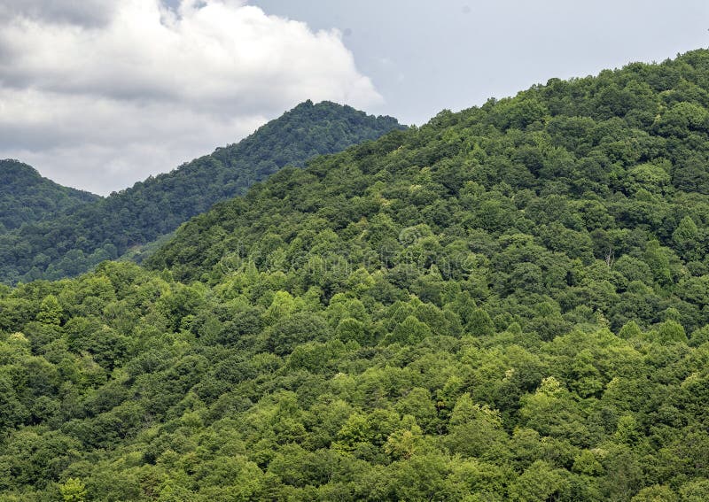 View from the Bad Fork Valley Overlook at Milepost 399.7 on the Blue ...