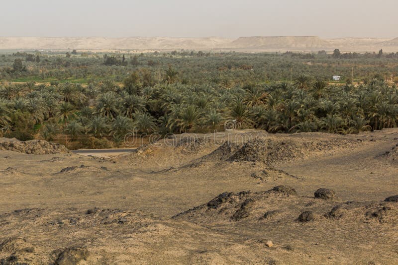View of Bahariya Oasis, Egy Stock Photo - Image of destination ...