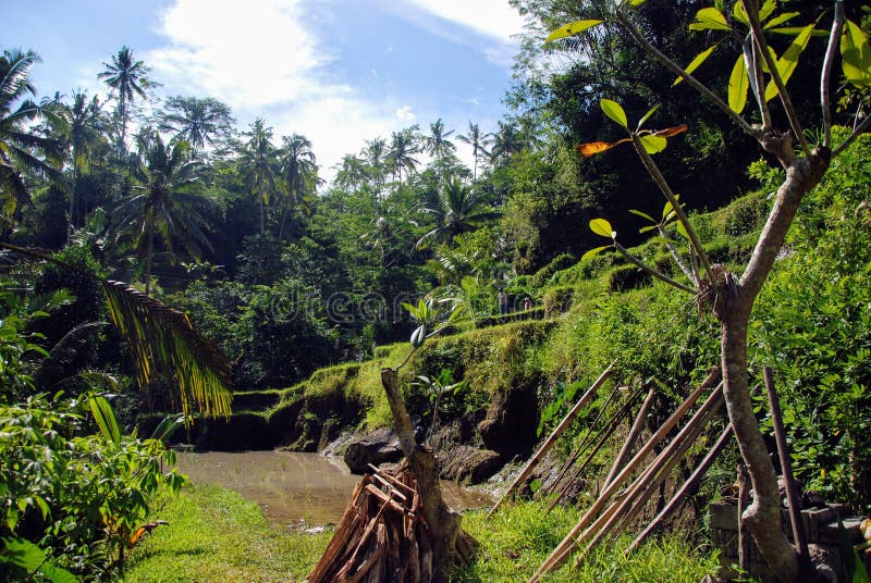 Bali Countryside, Indonesia Stock Image - Image of south, perfection ...