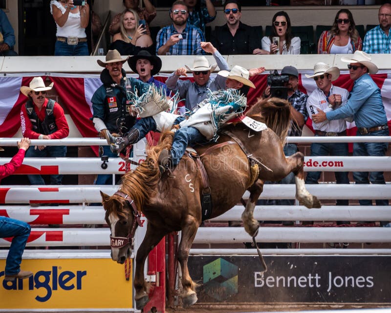 View of Bare Back Bronc Riding during Calgary Stampede 2022 Competition ...