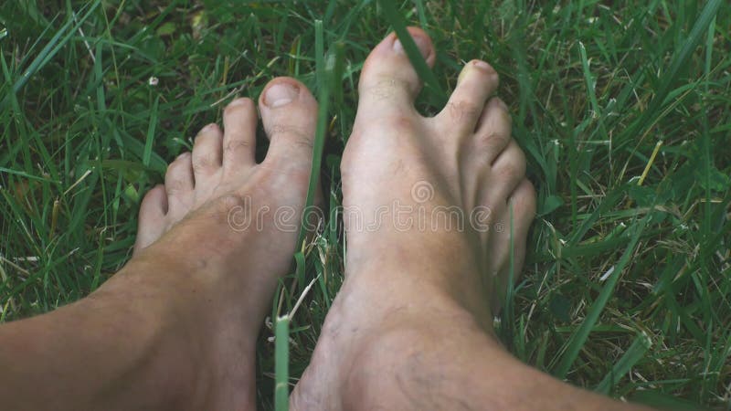 View of Bare Human Feet Playing with the Green Grass Stock Video ...