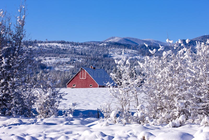 View of Barn through Bushes. Stock Photo - Image of cold, hill: 28723212