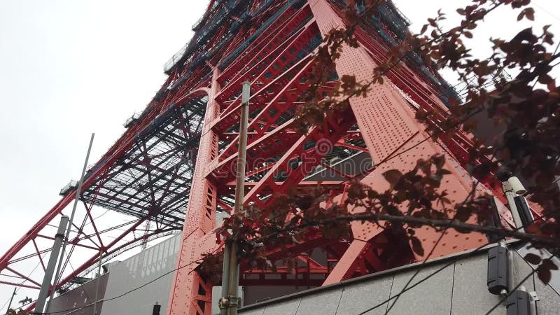 The Tokyo Tower Glows Brightly As the Sun Sets, Illuminating the ...