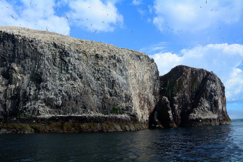 Bass Rock, Scotland stock photo. Image of fishing, island - 96712458