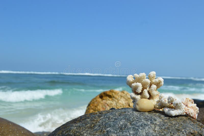 The View on the Beach with Everything Around it Stock Image - Image of ...
