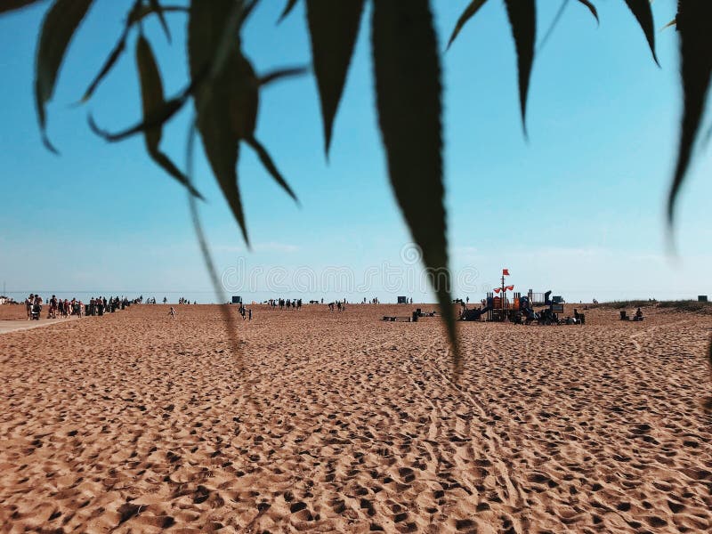 View of the Beach through the Foliage. Stock Photo - Image of coast ...