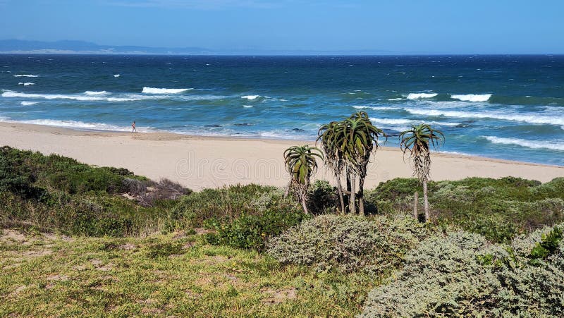 View at the Beach of Jeffrey S Bay in South Africa Stock Photo - Image ...