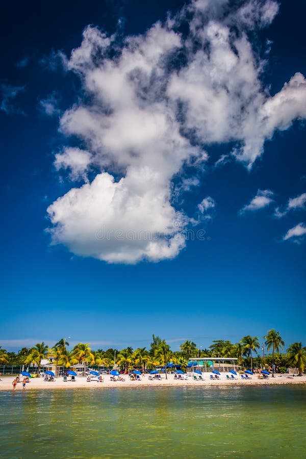 View of the Beach in Key West, Florida. Stock Photo - Image of palm ...