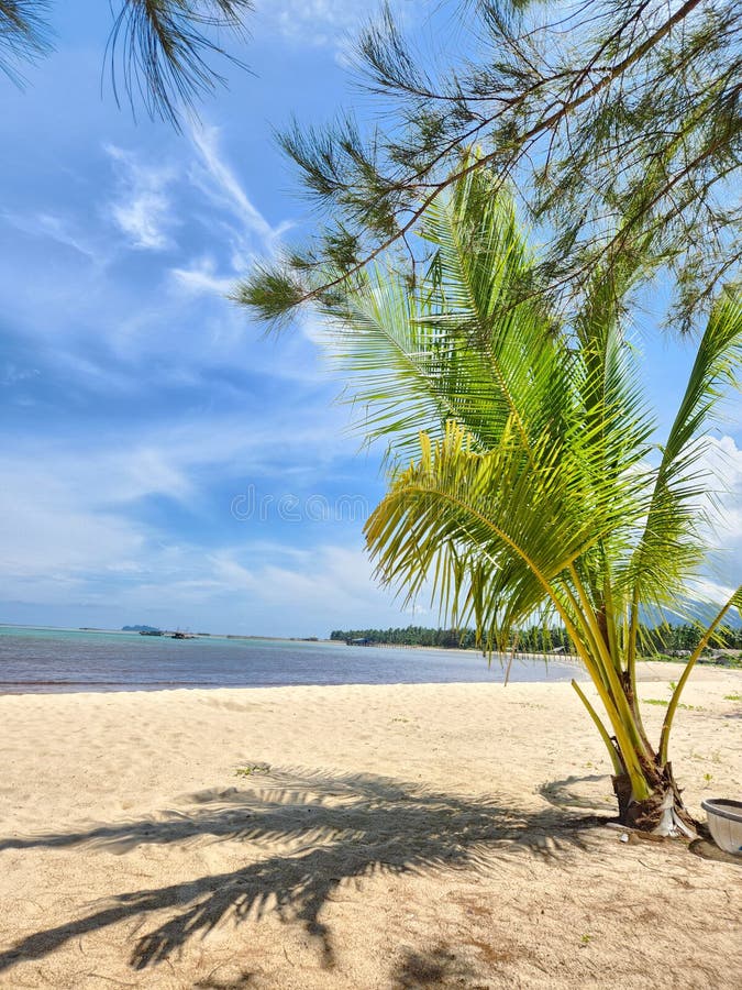 View of the Beach at Natuna Mutiara in the North Tip Stock Image ...