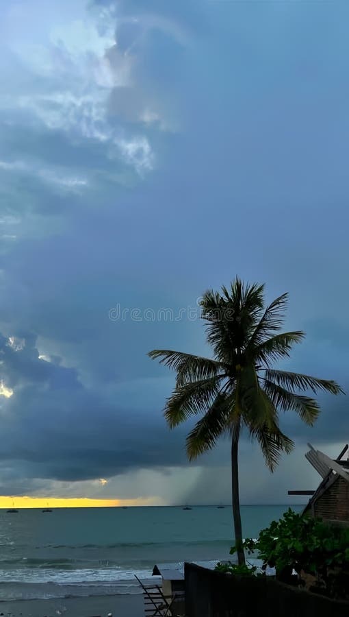 View and the Beach with a Quiet Atmosphere with a Backdrop of Coconut ...