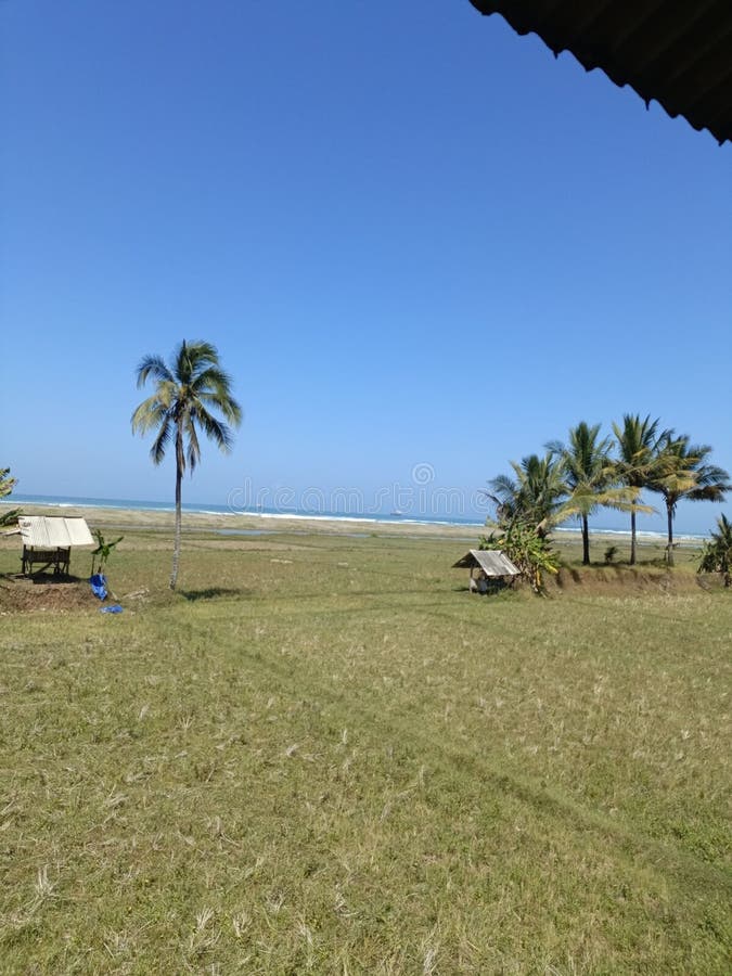 View beach stock photo. Image of wind, vacation, ocean - 387244864