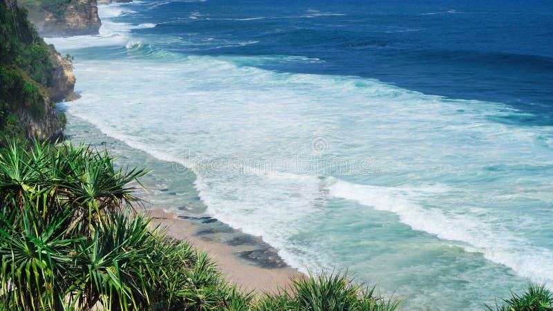Beautiful View of Seruni Beach and Sea Pandan Plants Stock Image ...