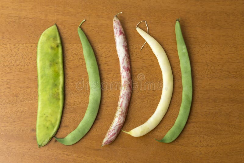 View of Bean Pods of Different Types and Colors Stock Photo - Image of ...