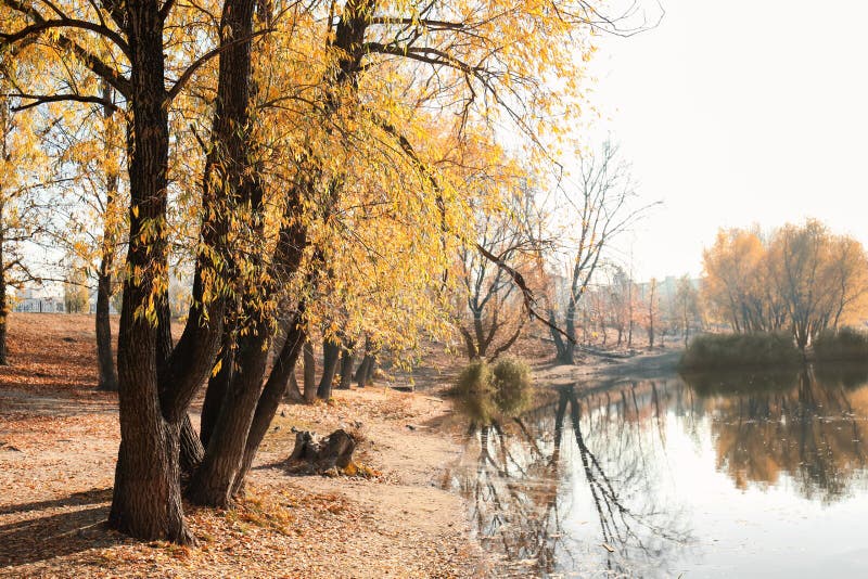View of Beautiful Autumn Park with Pond in City Stock Image - Image of ...
