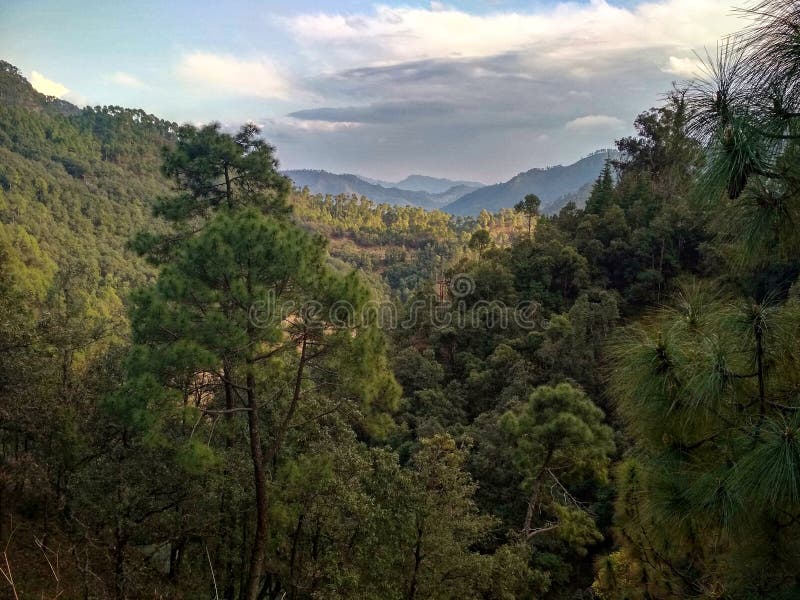 View of a Beautiful Deep Forest in Himalayan Valley Stock Image - Image ...
