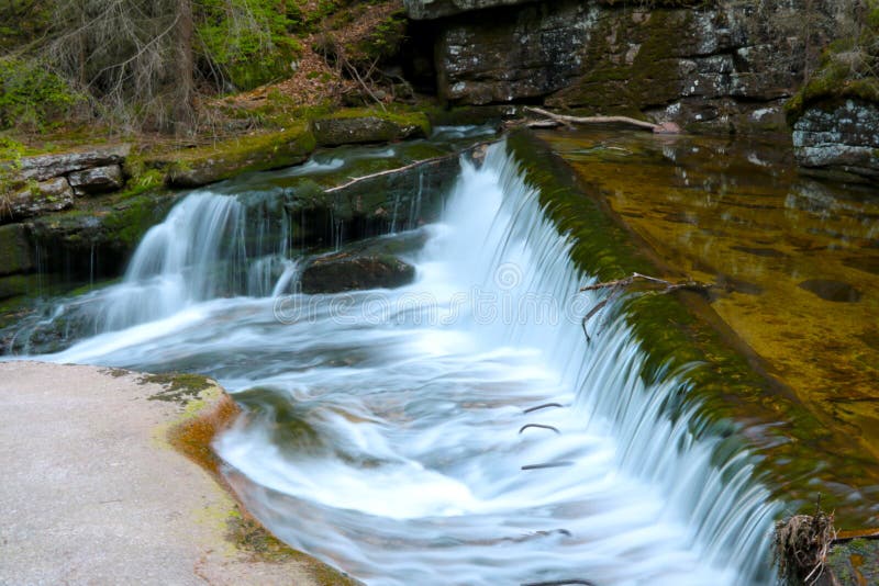 View of the Beautiful Forest River Flowing in the Forest. Stock Image ...