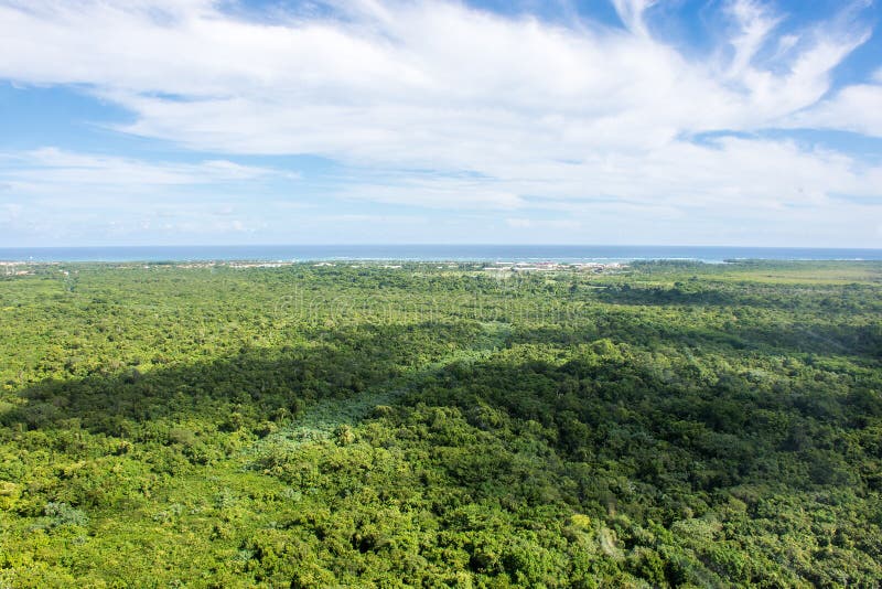 View of the Beautiful Jungle Leaving Far To the Ocean Stock Photo ...