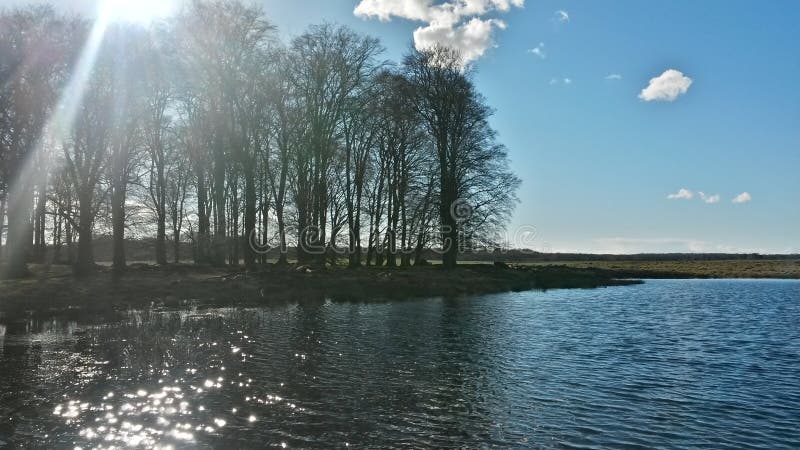 Beautiful lake in Denmark stock image. Image of denmark - 193952159