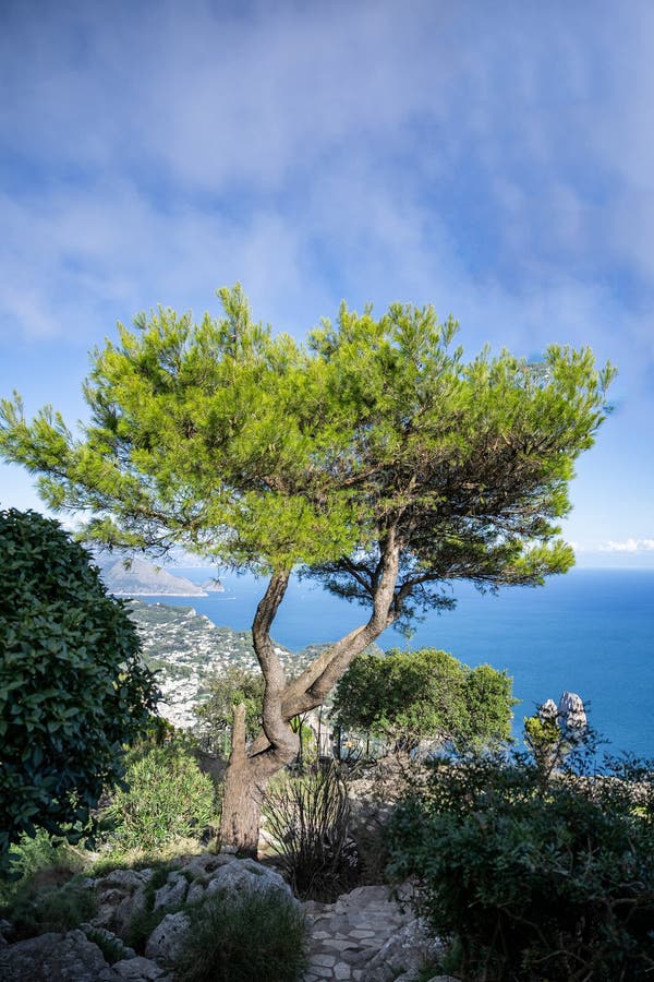 View of Beautiful from Monte Solaro in Anacapri Capri, Italy Stock ...