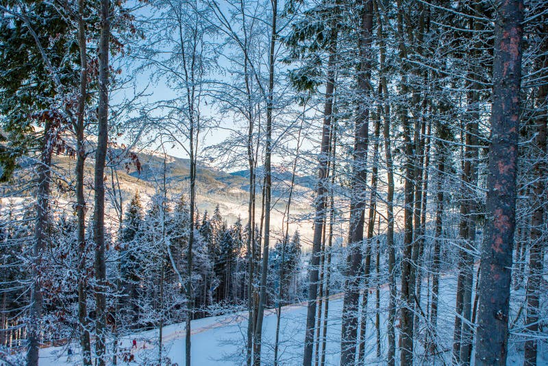 View of Beautiful Snowy Mountains, Forests Stock Image - Image of ...