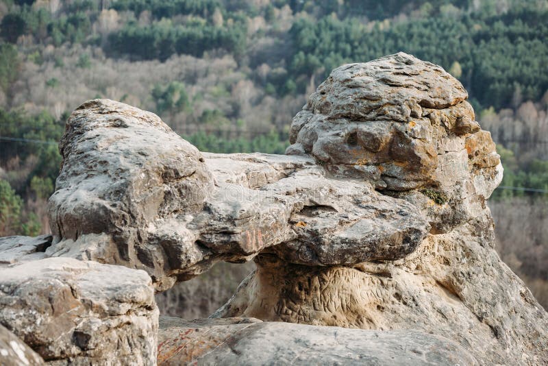 A Stone of Unusual Shape in the Forest Stock Image - Image of terrain ...