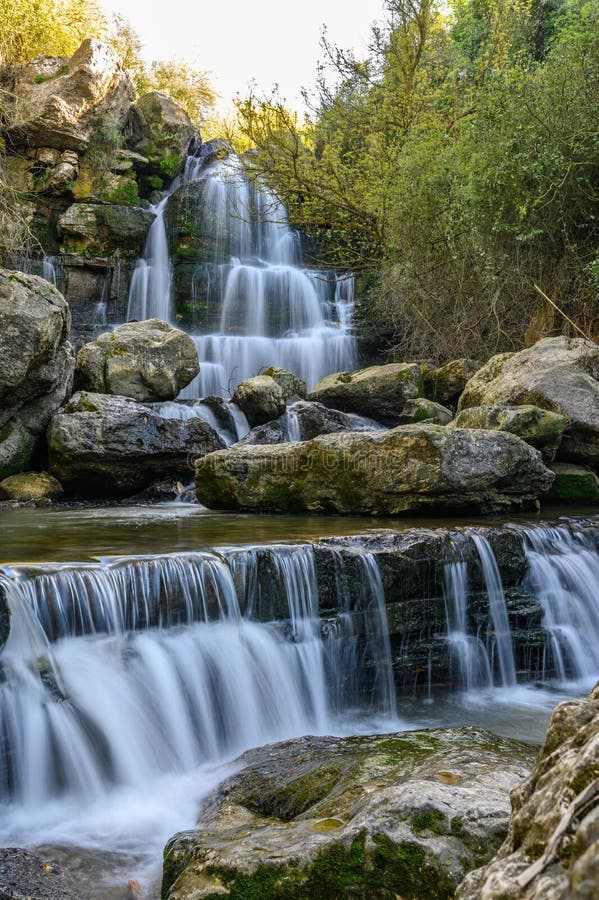 Waterfall And Old Trees In Oregon Stock Image - Image of waterfalls ...