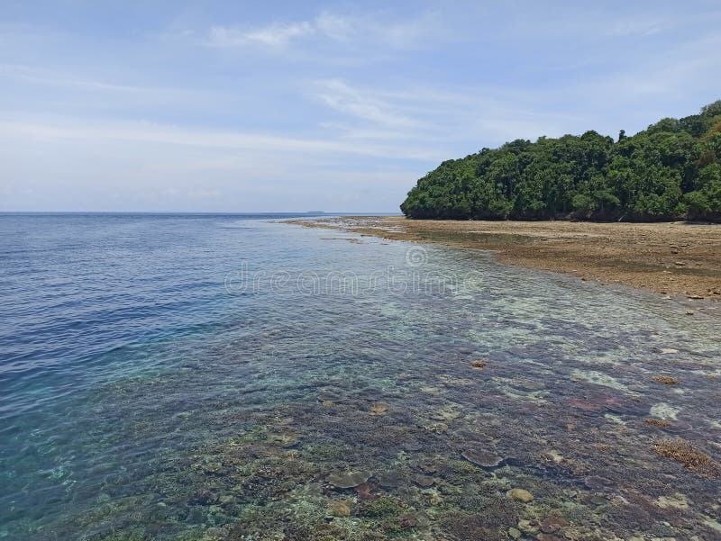 At the View of Beauty Beach and the Biota of Sea Stock Image - Image of ...
