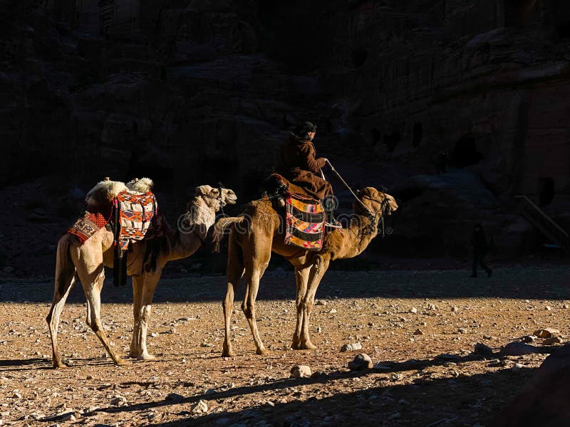 The View of Beduin and Camels in the Wadi Rum Stock Image - Image of ...