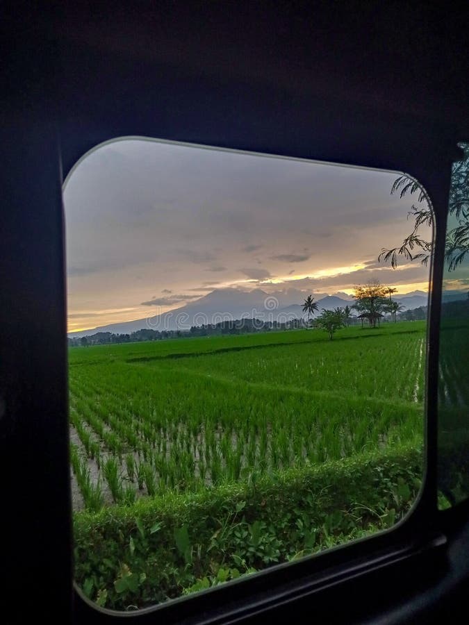 The View Behind the Car Window Stock Photo - Image of grass, view ...