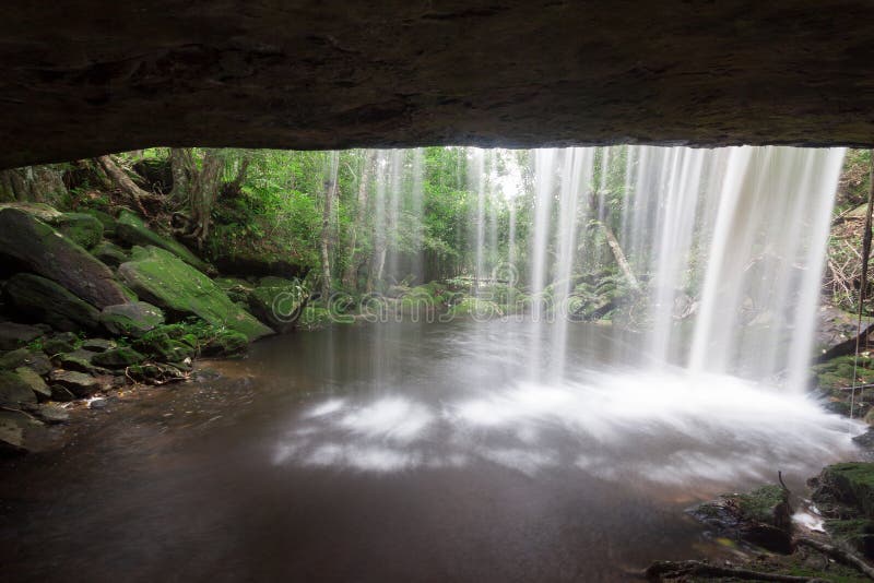 Fern behind the waterfall stock image. Image of rapids - 7506921