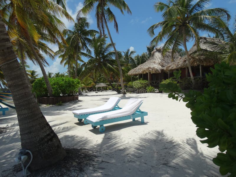 View of Belizean Beach stock photo. Image of belizean - 55744996