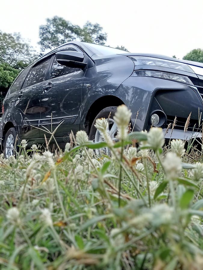 View from Below of a Car Parked on the Grass Stock Photo - Image of ...