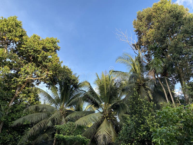 The View from Below Looks Beautiful with the Blue Skyy Stock Photo ...