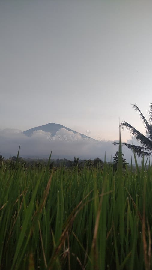 View in Ciremai mountain stock photo. Image of morning - 255890496