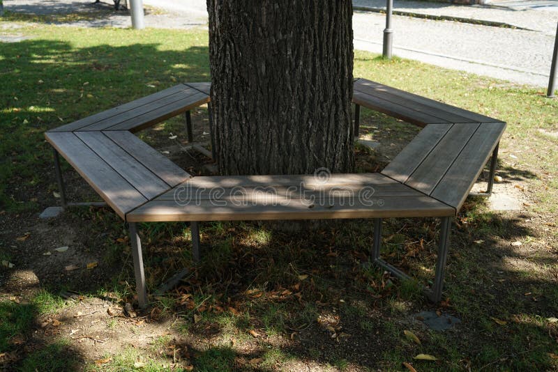 View of a Bench Around a Tree in the Park Stock Photo - Image of ...