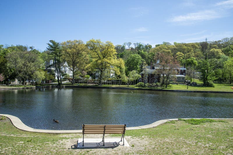 A bench in a lake stock photo. Image of look, river - 247005344