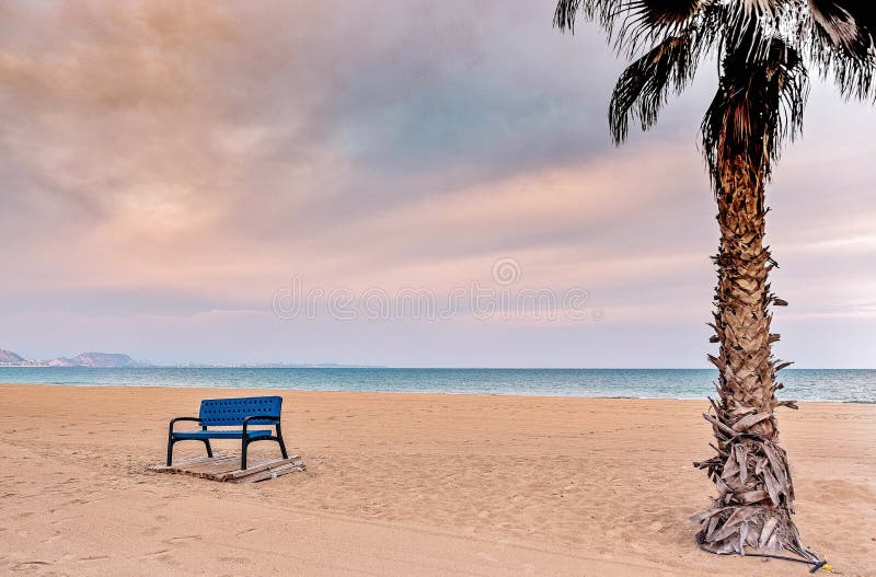 View of a Bench and a Palm Tree in Urbanova Beach in Alicante, Spain ...
