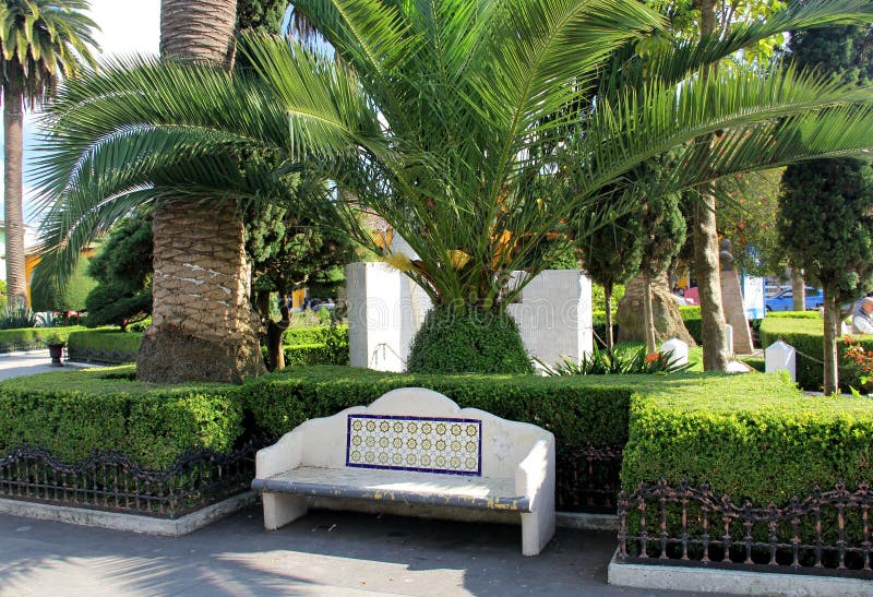 View of Bench in Public Park with Bushes, Palm Trees and Vegetation in ...