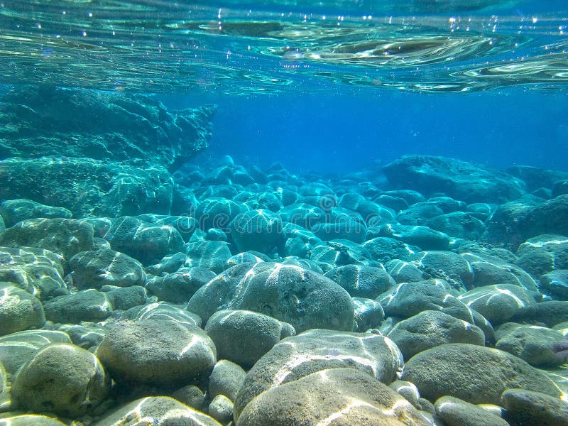 View Beneath the Surface of the Sea Water Stock Image - Image of ...
