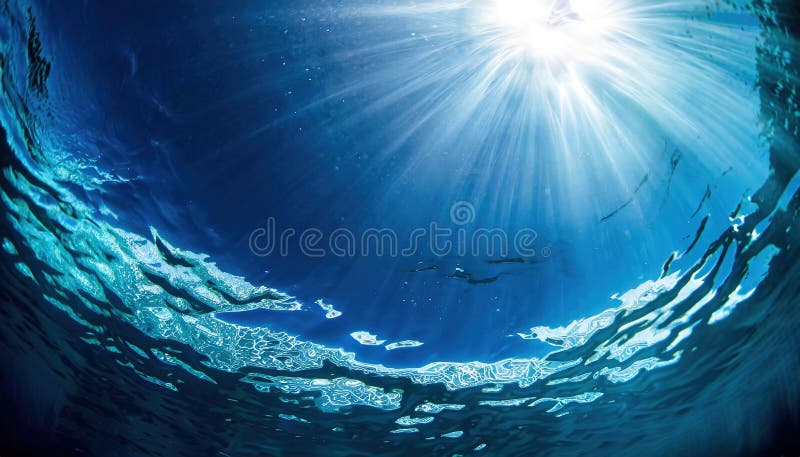 View from Beneath the Water Surface, Looking Up at the Sunlight ...